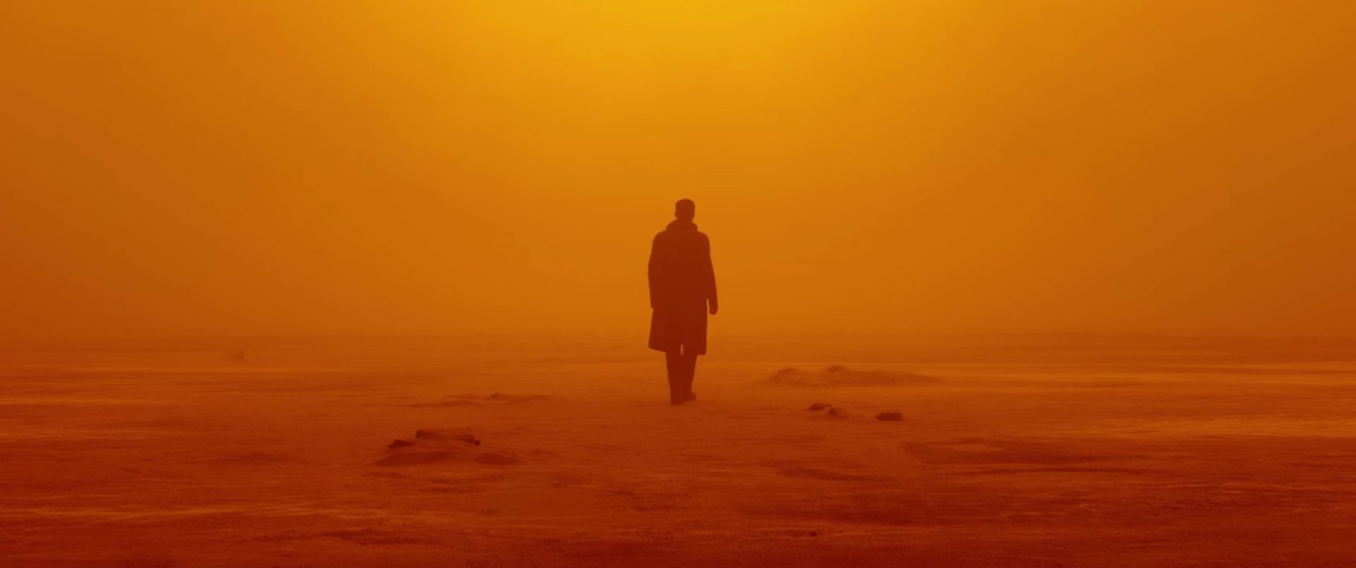 Watch the visually stunning new trailer for 'Blade Runner 204'