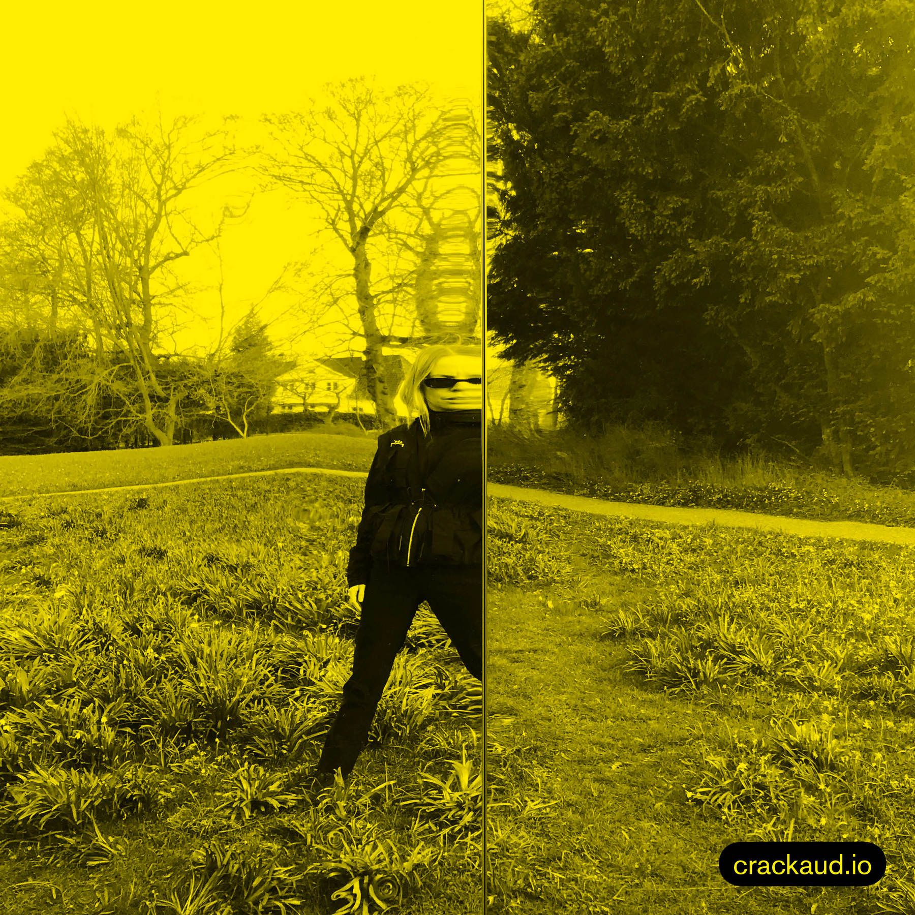 Crack Mix 403: Mama Snake