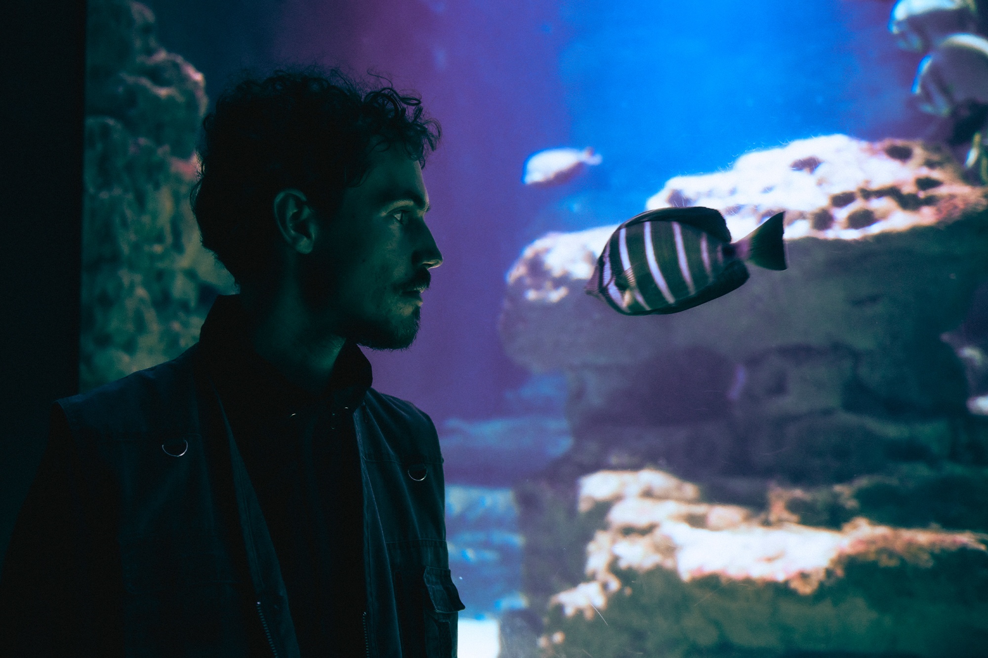 Simo Cell is powering up