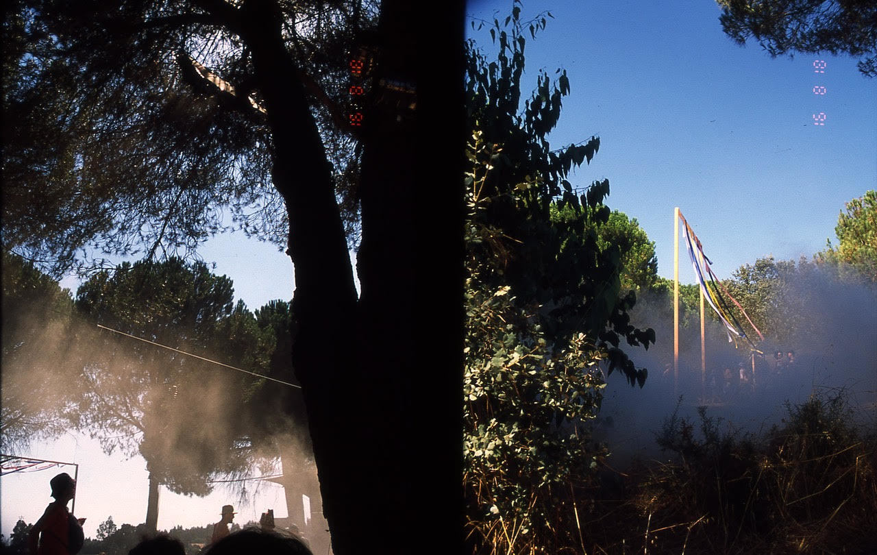 Waking Life completes 2024 line-up